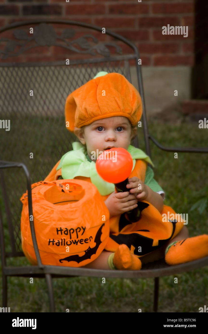 Baby sit pumpkin hi-res stock photography and images - Alamy