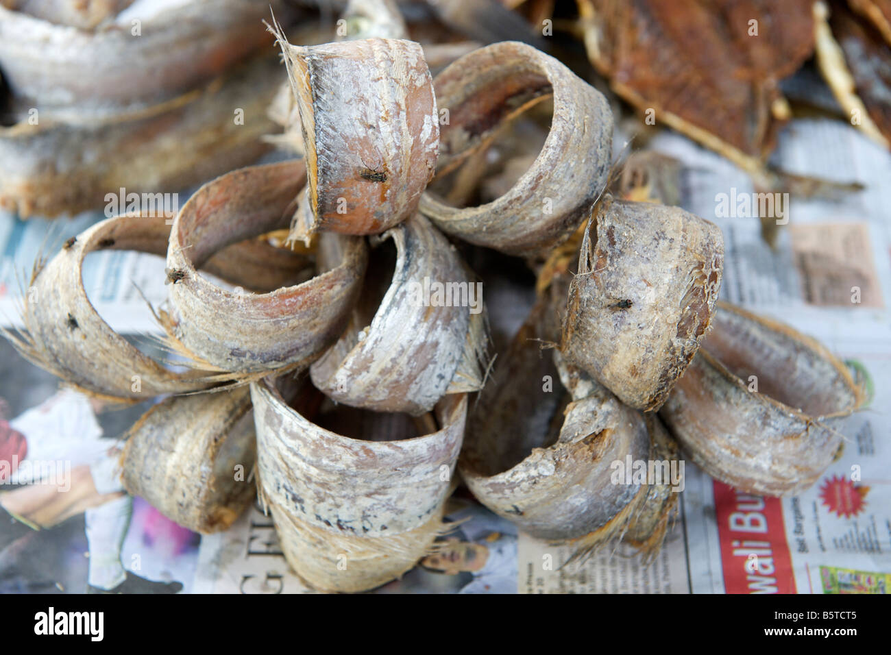 Dried Vala fish at the Gingee Salai fish market in Pondicherry India ...