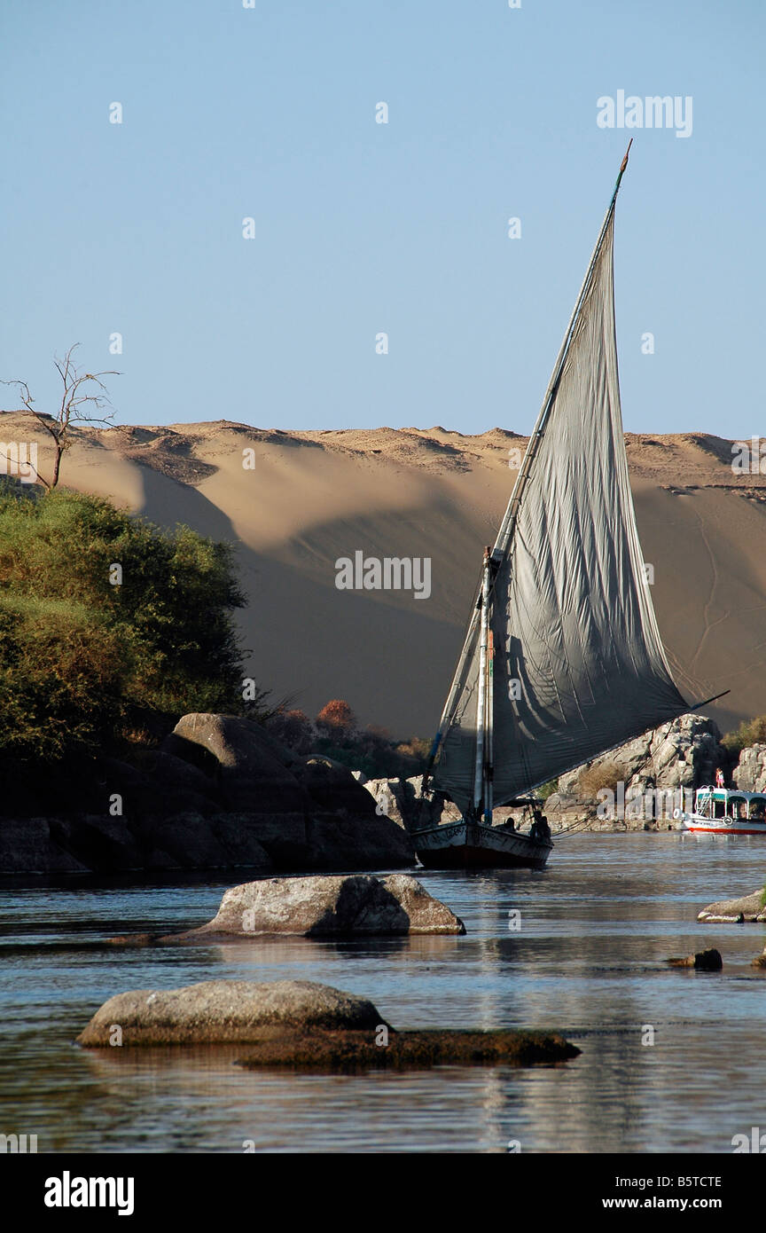 Felucca traditional boat sailing along the Nile river and the First ...