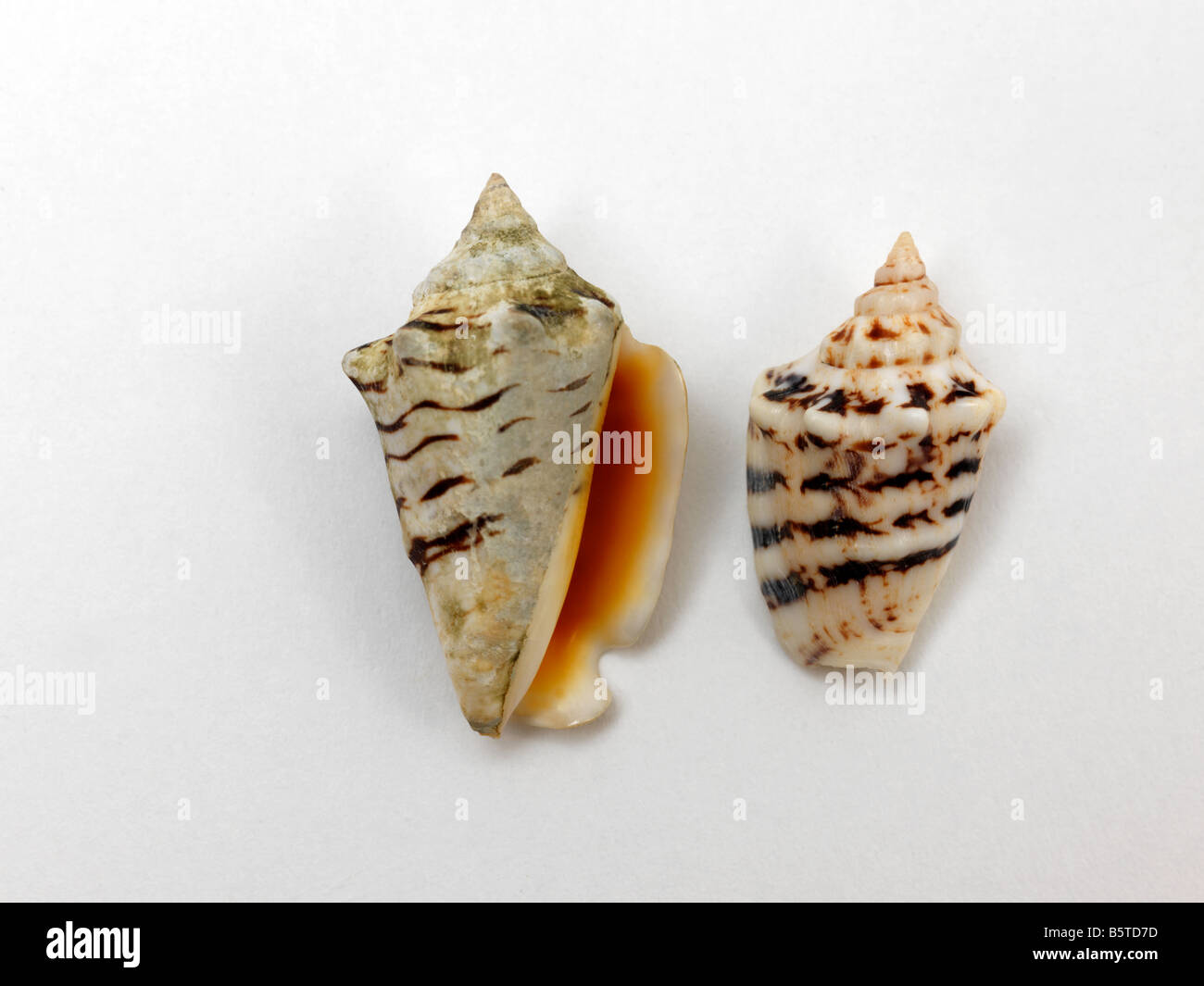 Volutes hi-res stock photography and images - Alamy