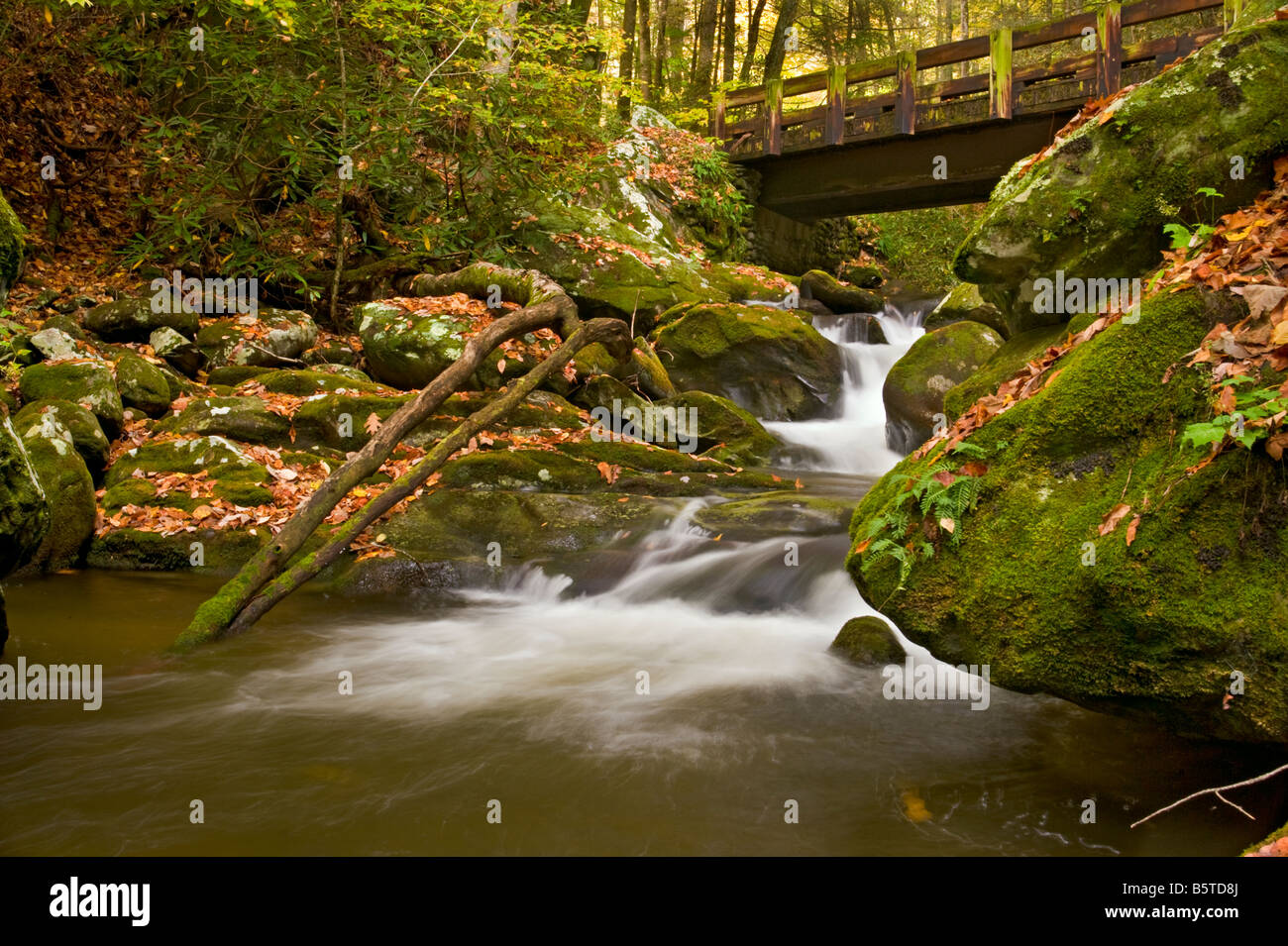 Fall stream with rocks hi-res stock photography and images - Alamy