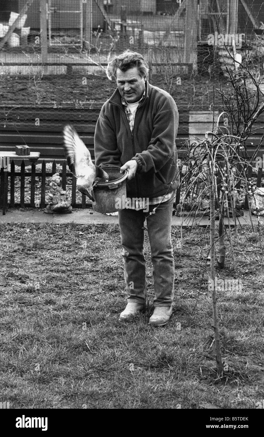 Pigeon racing in the UK. Working class sport Stock Photo - Alamy