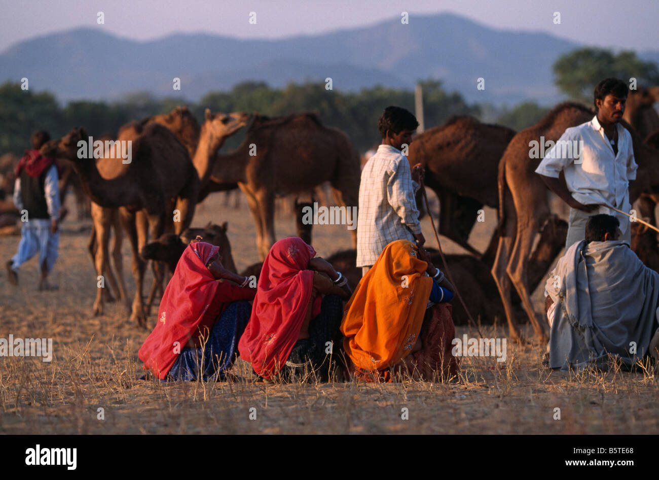 Pushkar festivals in rajasthan hi-res stock photography and images - Alamy