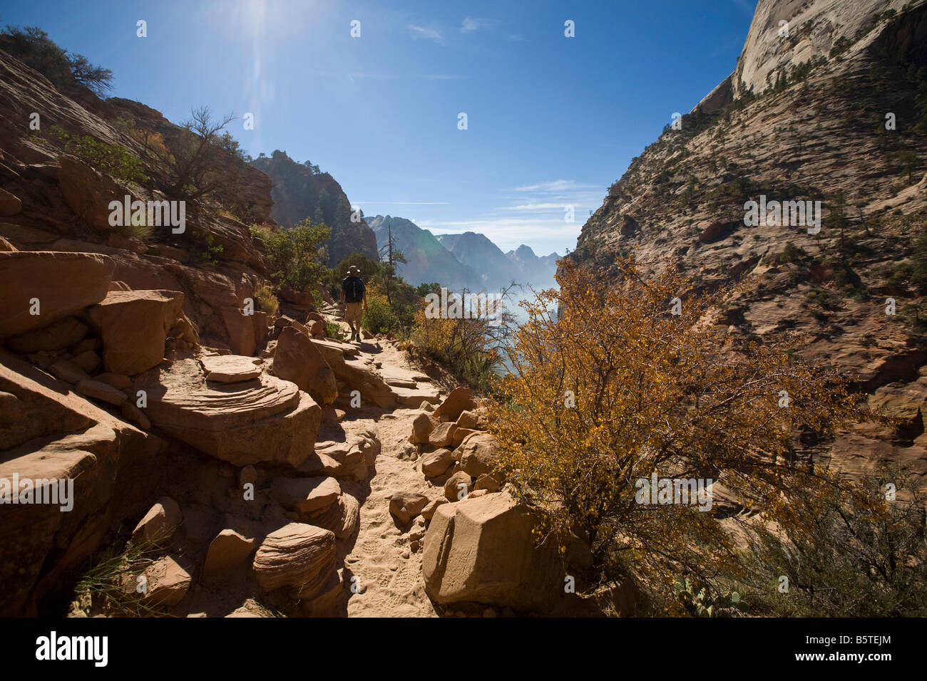 Angels Landing Trail Zion National Park Utah Stock Photo - Alamy