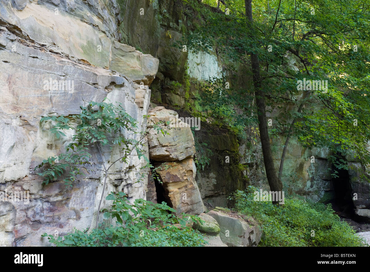 sandstone bluff, Wildcat Den State Park, Iowa Stock Photo - Alamy