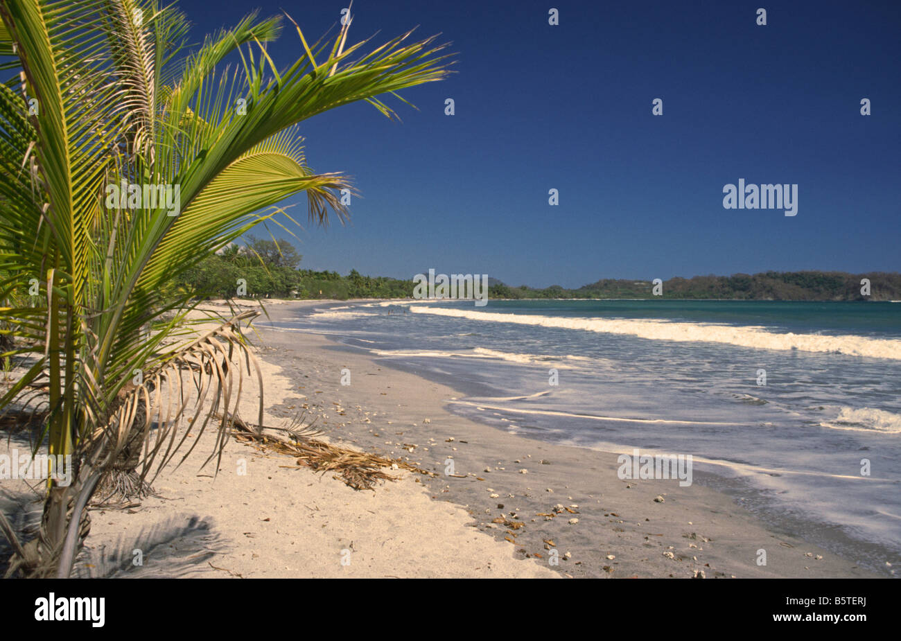 Playa samara costa rica beach hi-res stock photography and images - Alamy