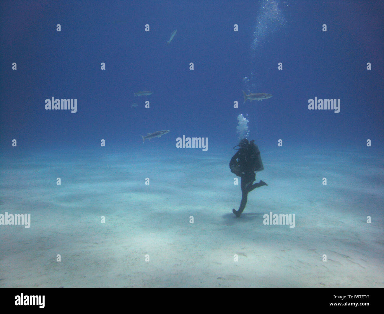 Walking underwater hi-res stock photography and images - Alamy