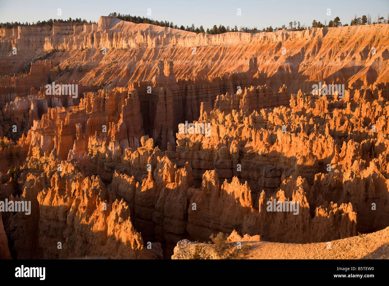 Bryce Canyon National Park Utah Stock Photo - Alamy