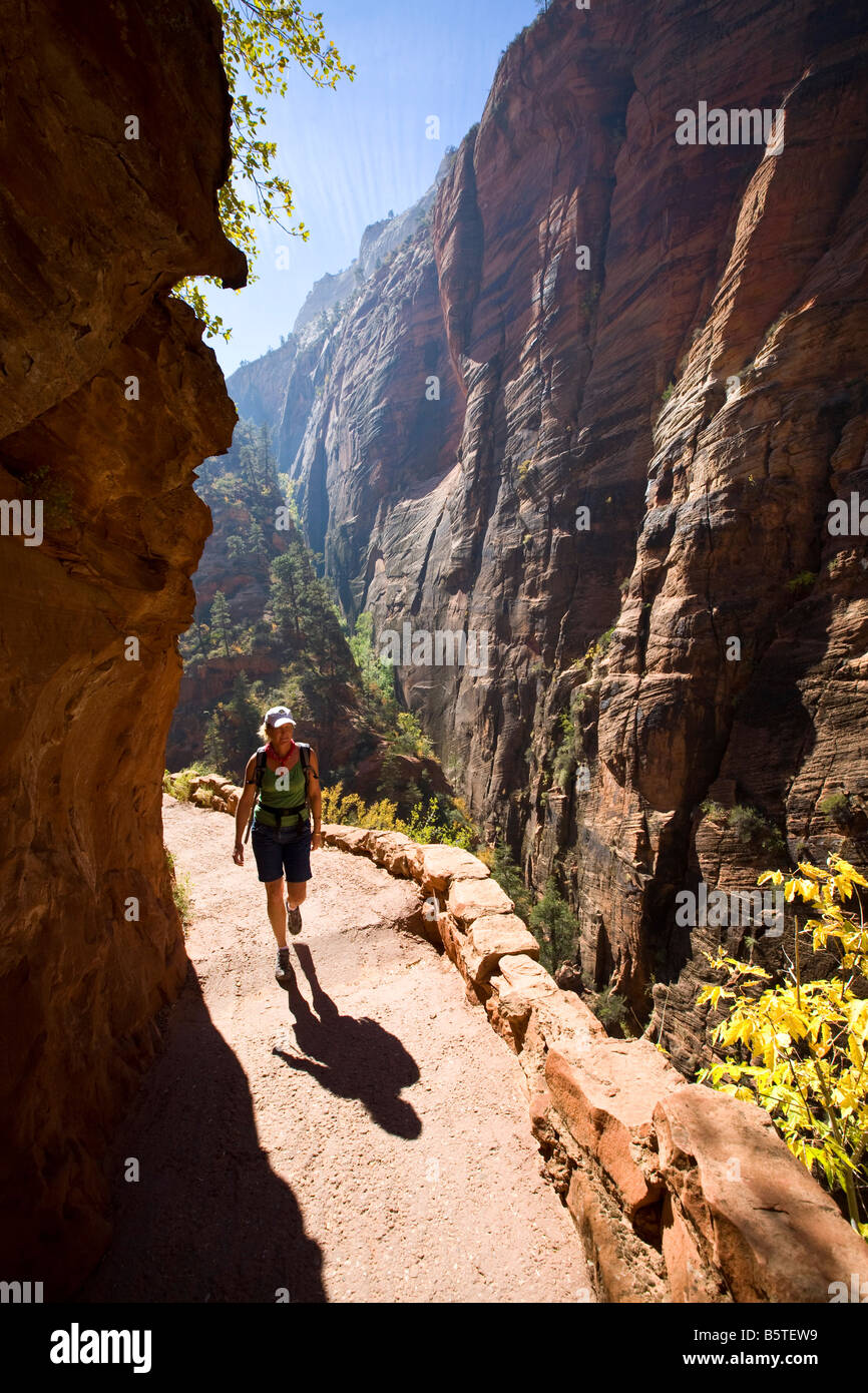 Angels Landing Trail Zion National Park Utah Stock Photo - Alamy
