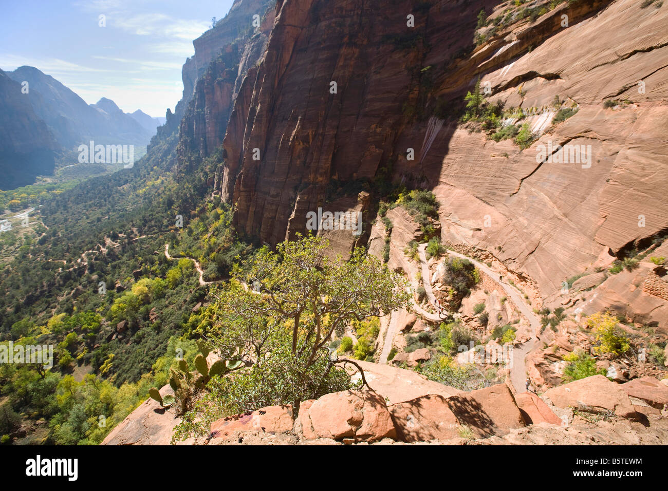 Angels Landing Trail Zion National Park Utah Stock Photo - Alamy