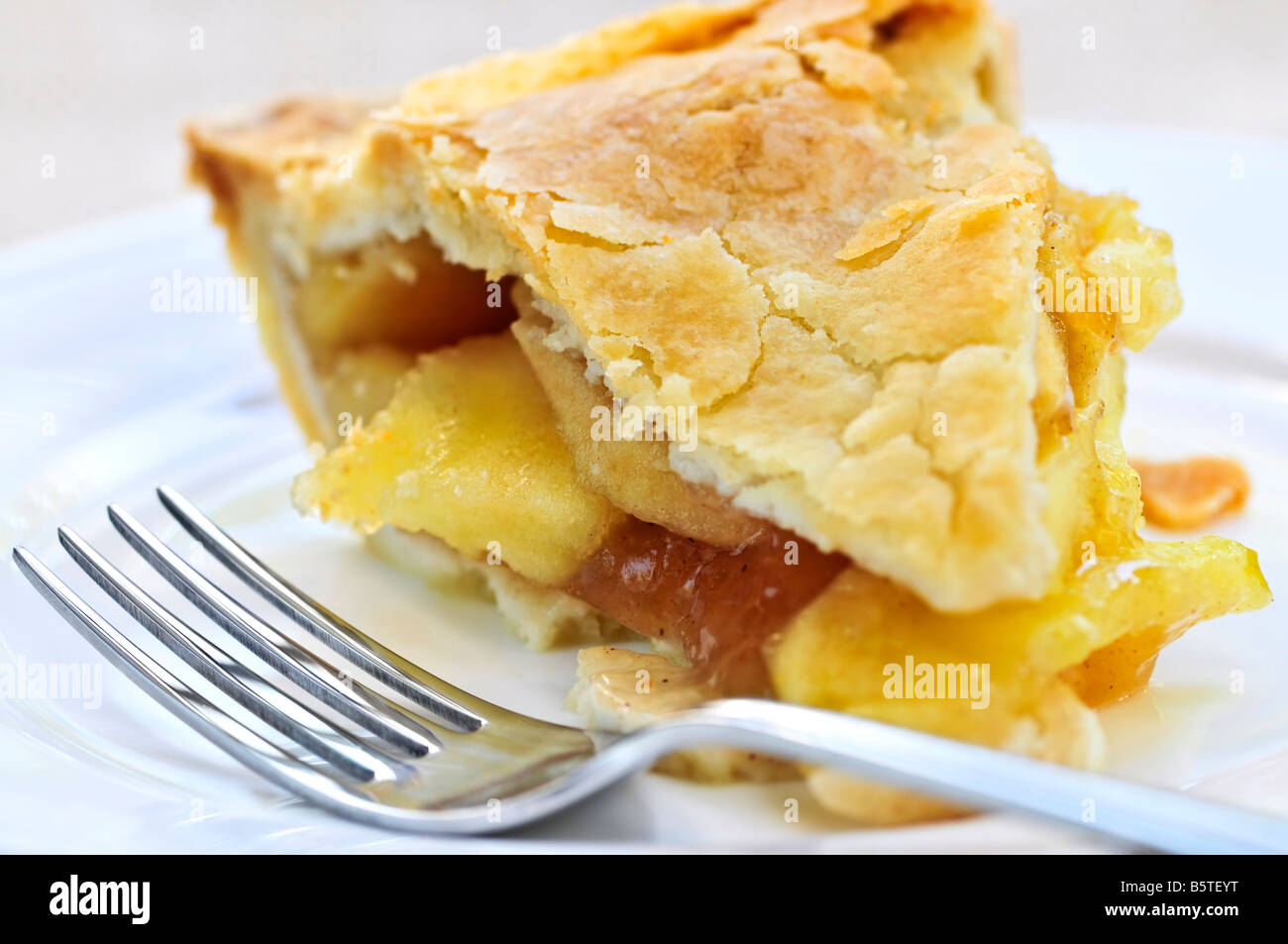 Shell slice hi-res stock photography and images - Alamy