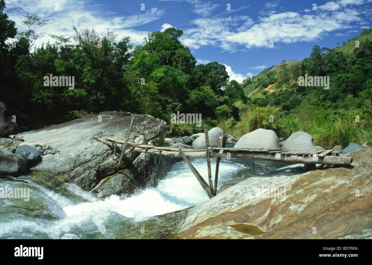 Chirripo national park hi-res stock photography and images - Alamy