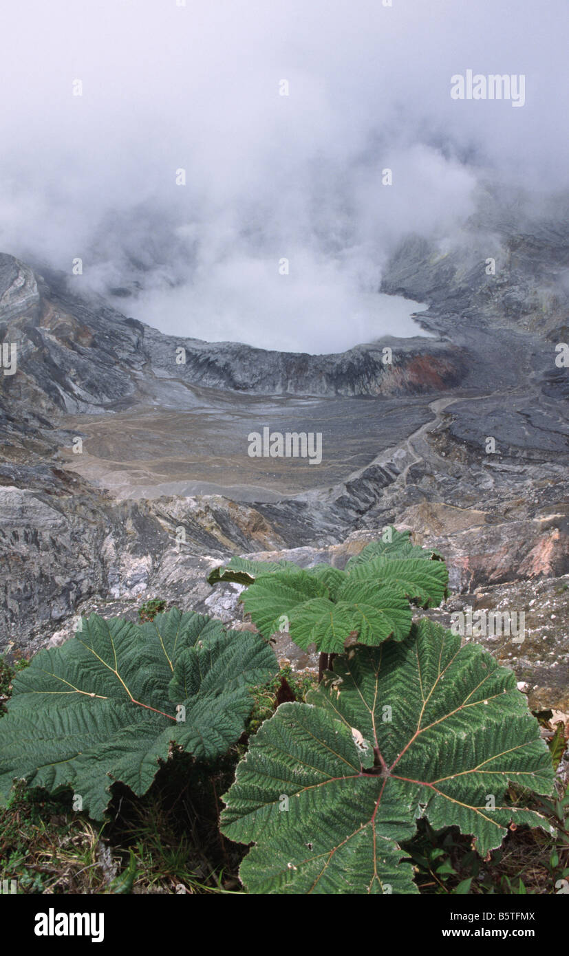View at the main crater of the volcano Poas Costa Rica Central America ...