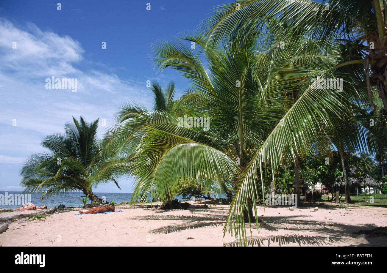 Playa Matapalo Central Pacific coast Costa Rica Central America Stock ...
