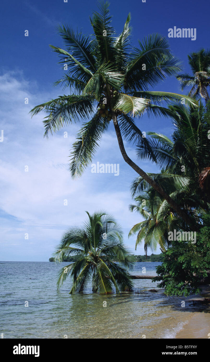 Playa Matapalo Central Pacific coast Costa Rica Central America Stock ...