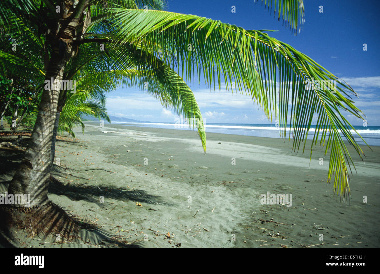 Playa Matapalo Central Pacific coast Costa Rica Central America Stock ...