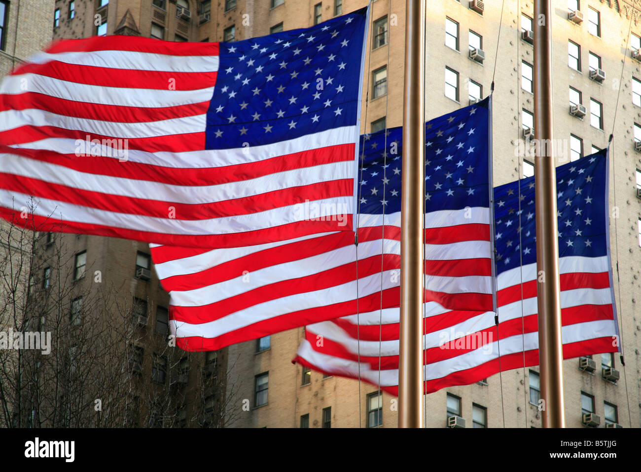 Three American Flags with buildings in the background Stock Photo - Alamy