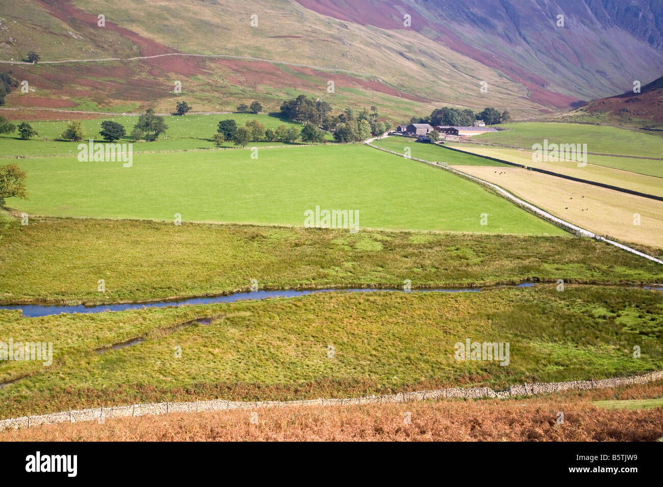 Warnscale Bottom and Wharnscale Beck "Gategarth Farm" Farmland pastures ...