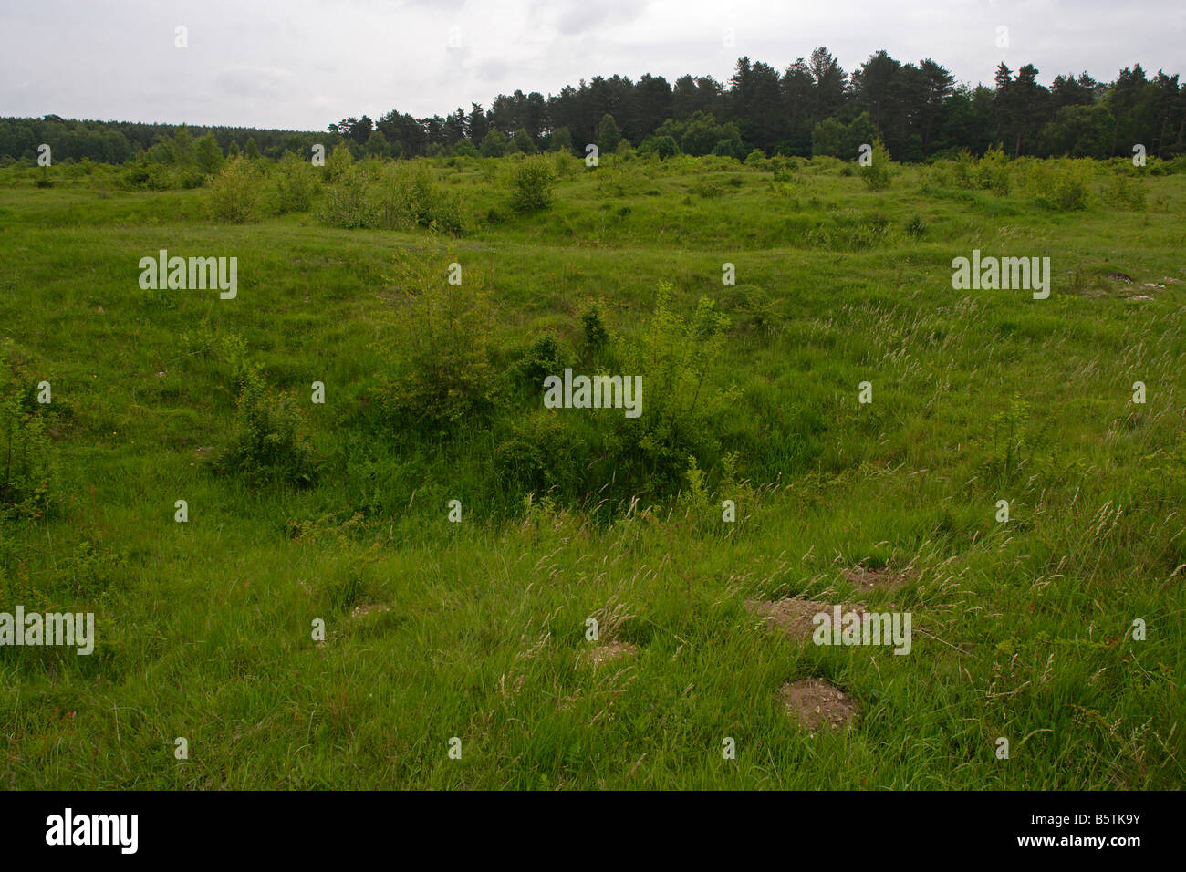 Grimes Graves Neolithic flint mines mounds Norfolk UK Great Britain ...