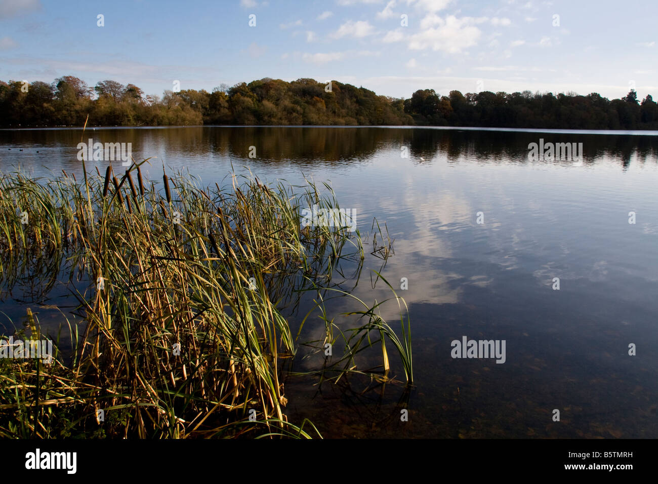 Ellesmere shropshire hi-res stock photography and images - Alamy