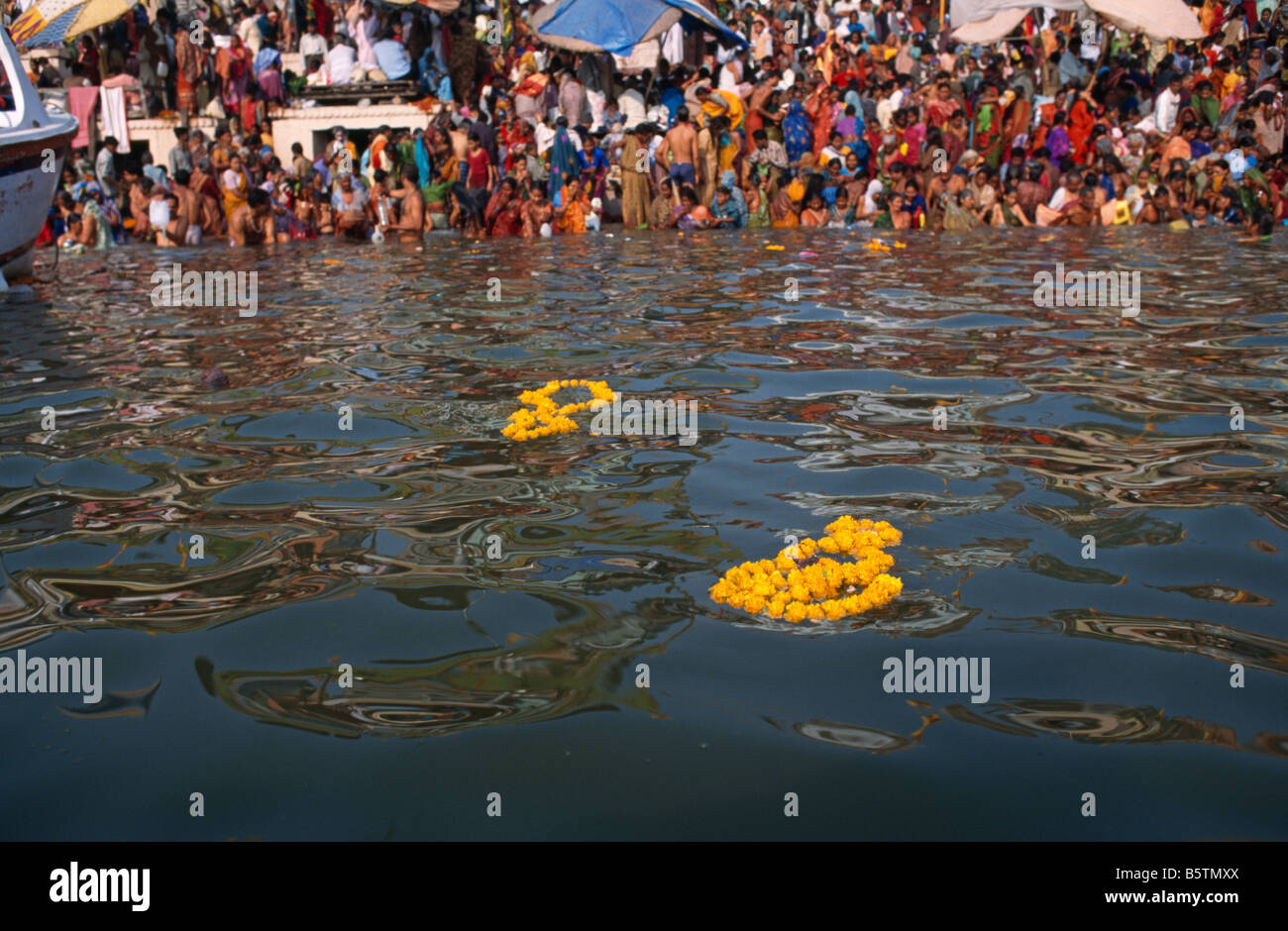 Garlands of marigolds in the river Ganges at Varanasi during the Kartik ...