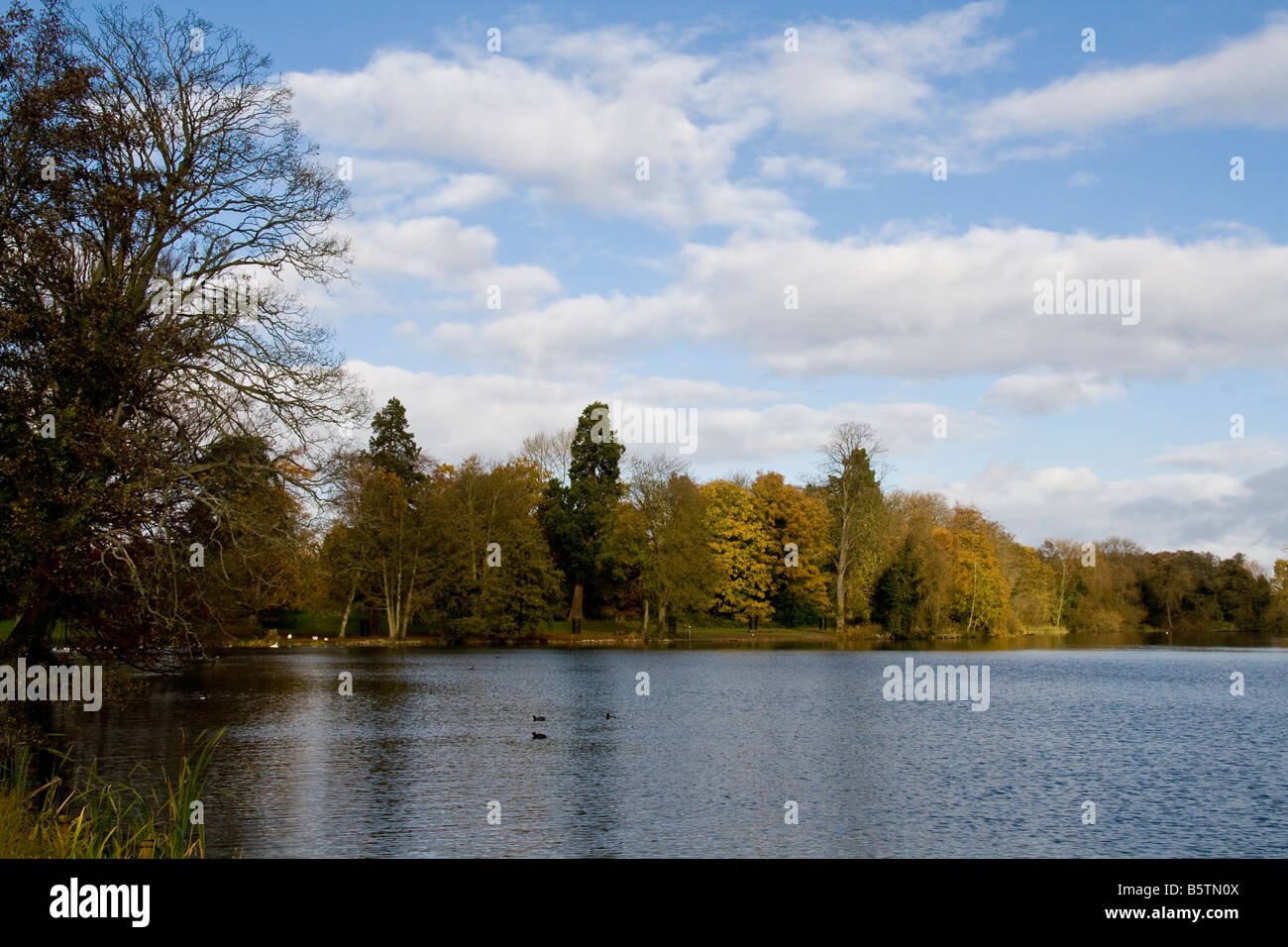 The Mere, Ellesmere, Shropshire, England Stock Photo - Alamy