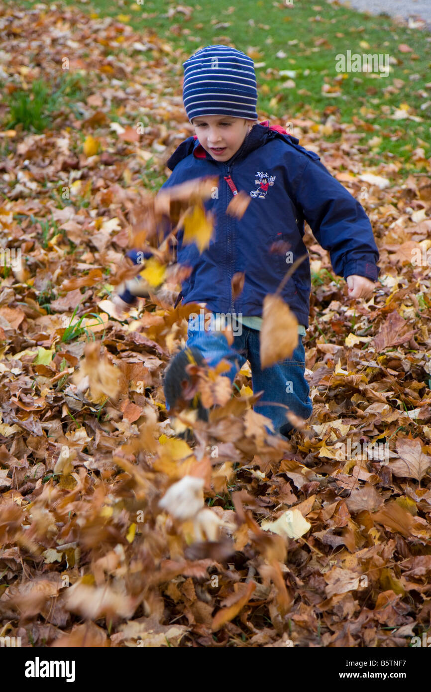 little boy running through autumn leaves Stock Photo - Alamy