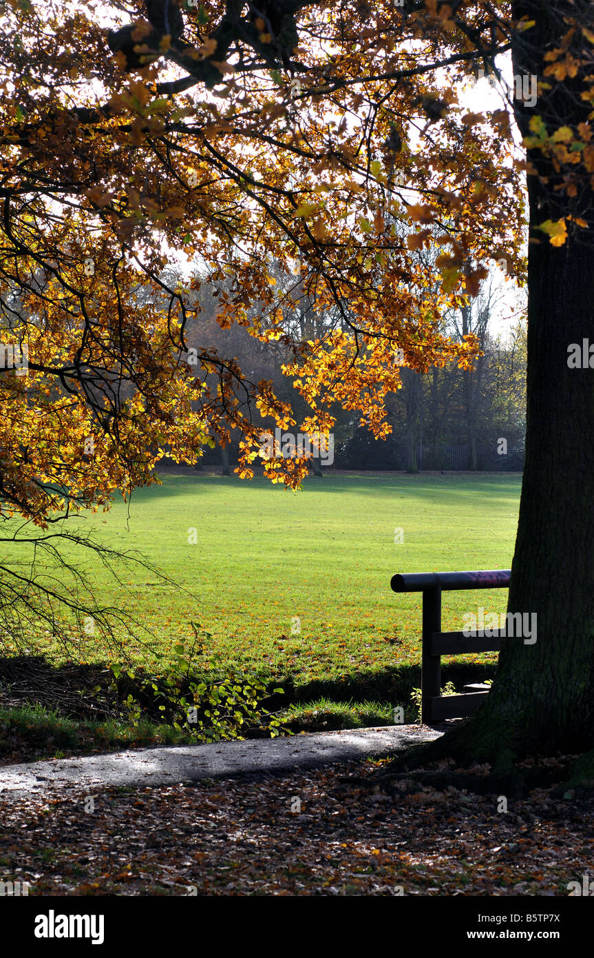 Elmdon hi-res stock photography and images - Alamy