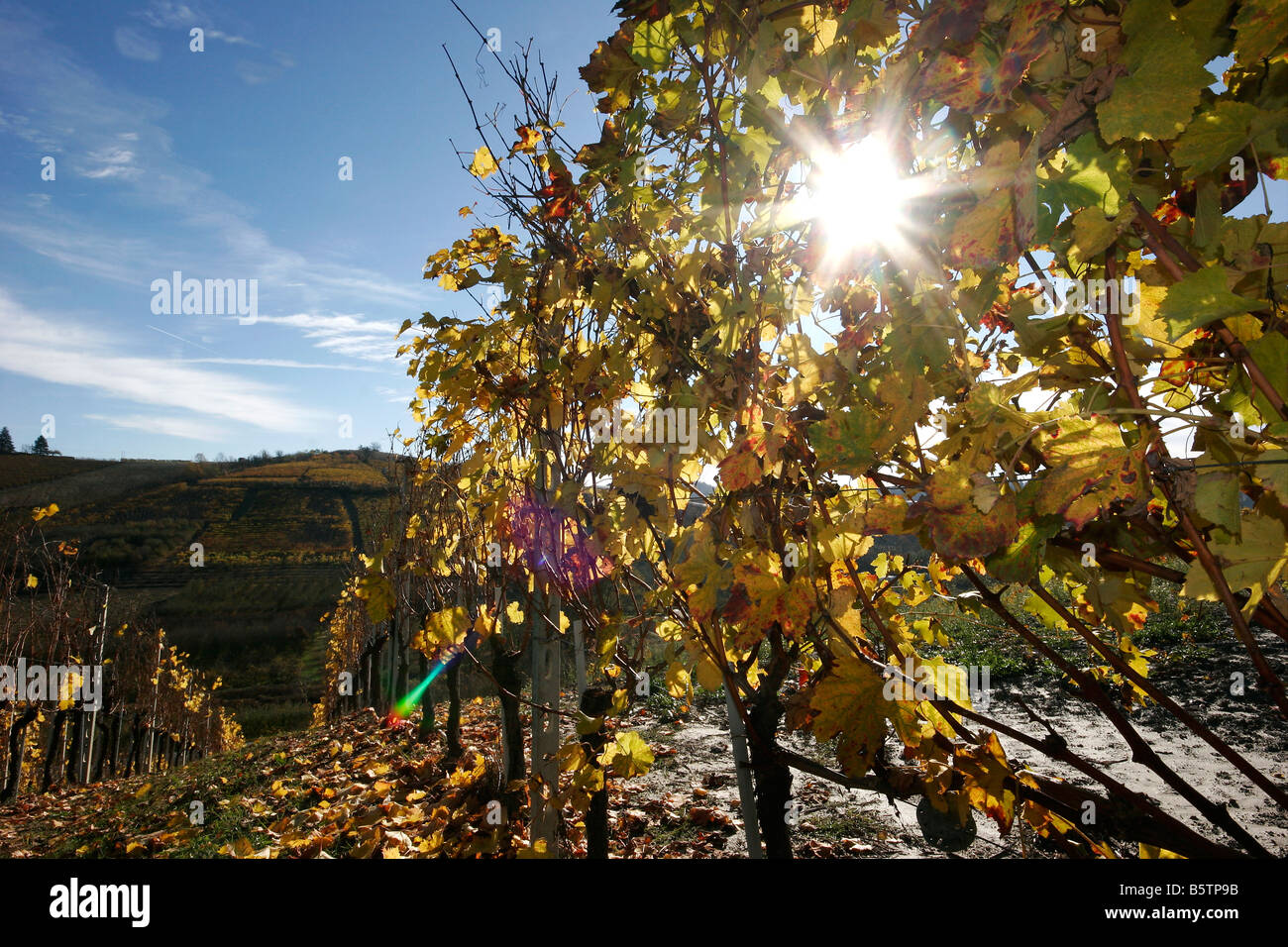 Roero, Piedmont, Italy Stock Photo - Alamy