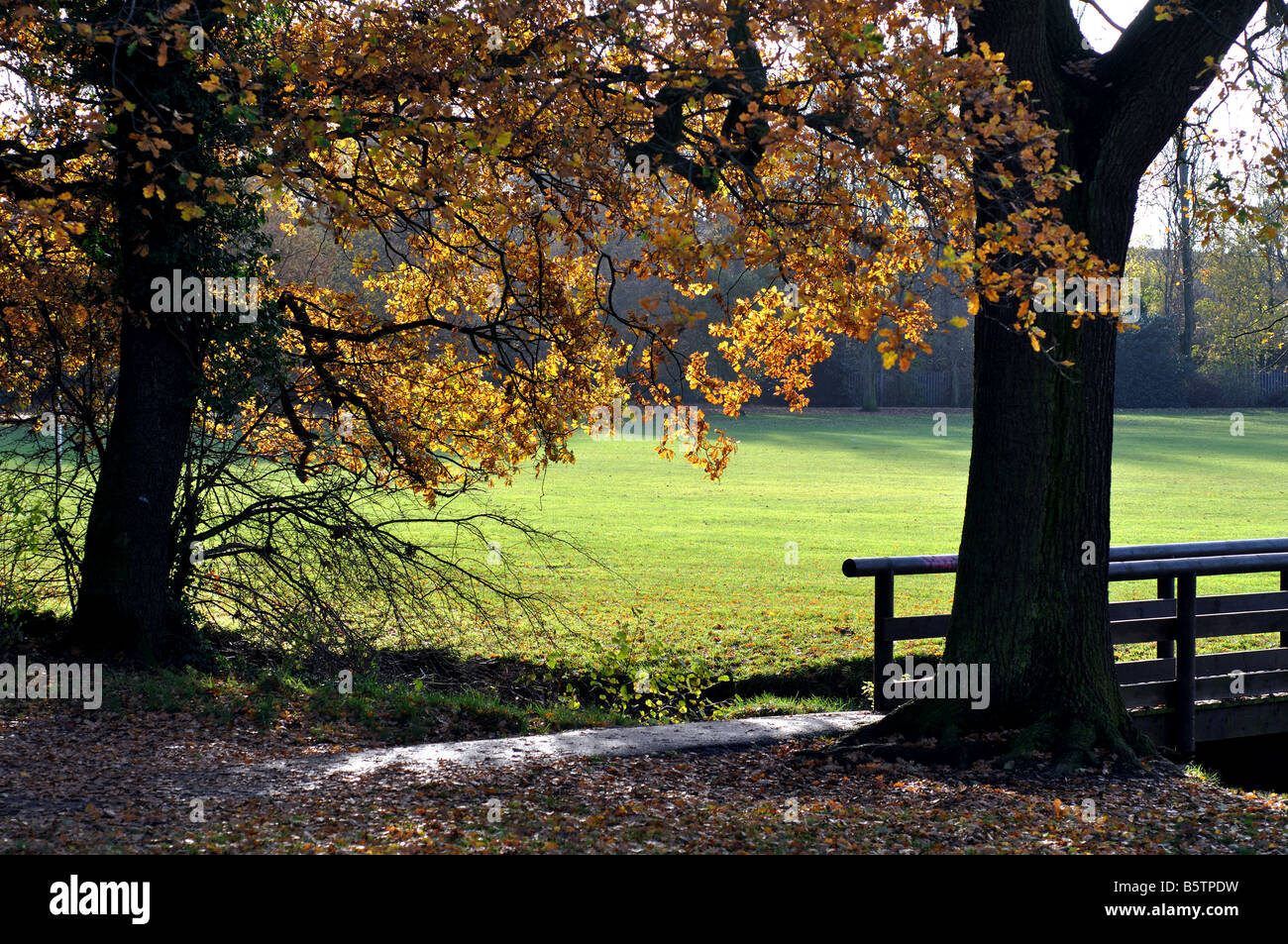 Elmdon park birmingham hi-res stock photography and images - Alamy