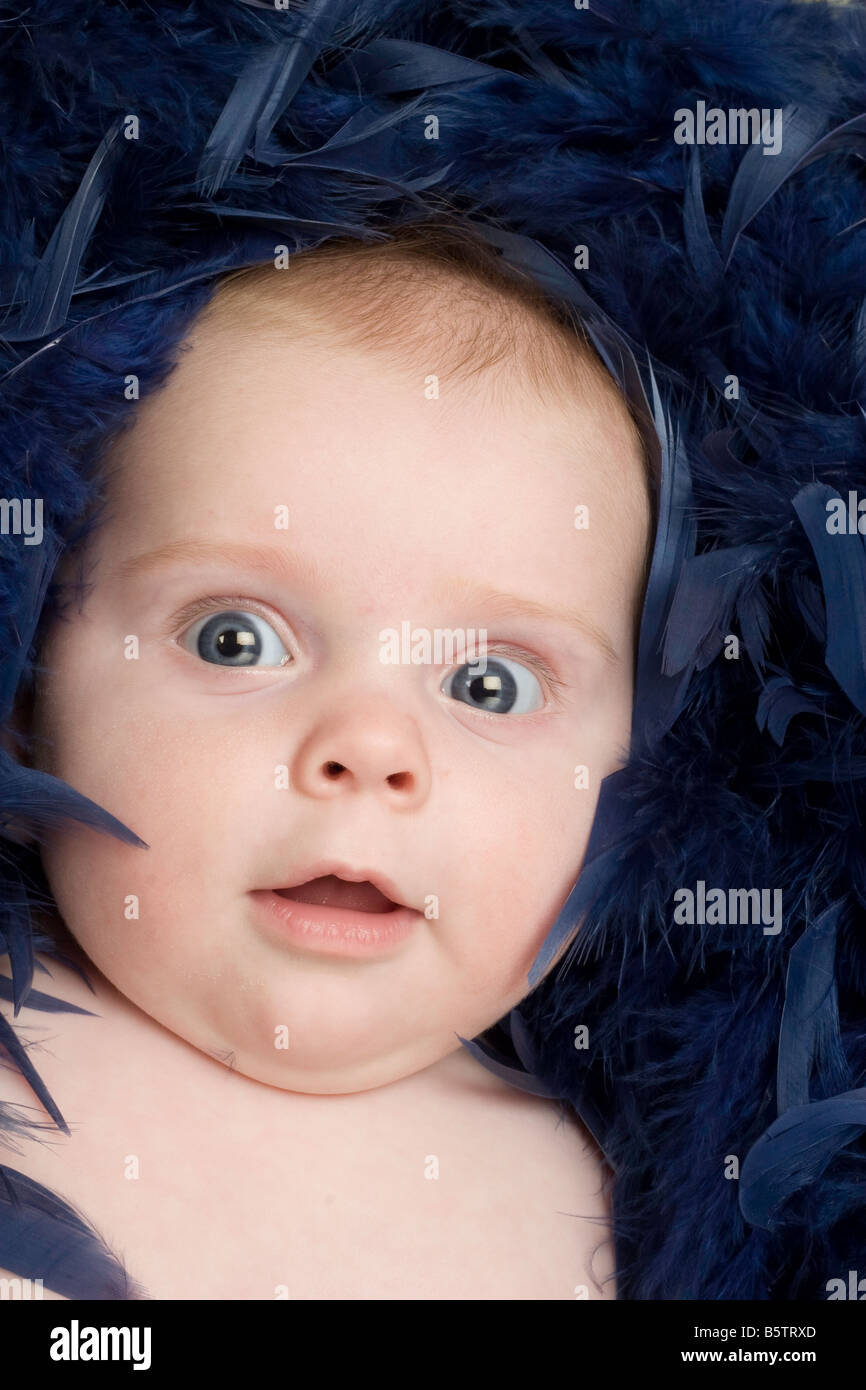 baby in feathers portrait Stock Photo - Alamy