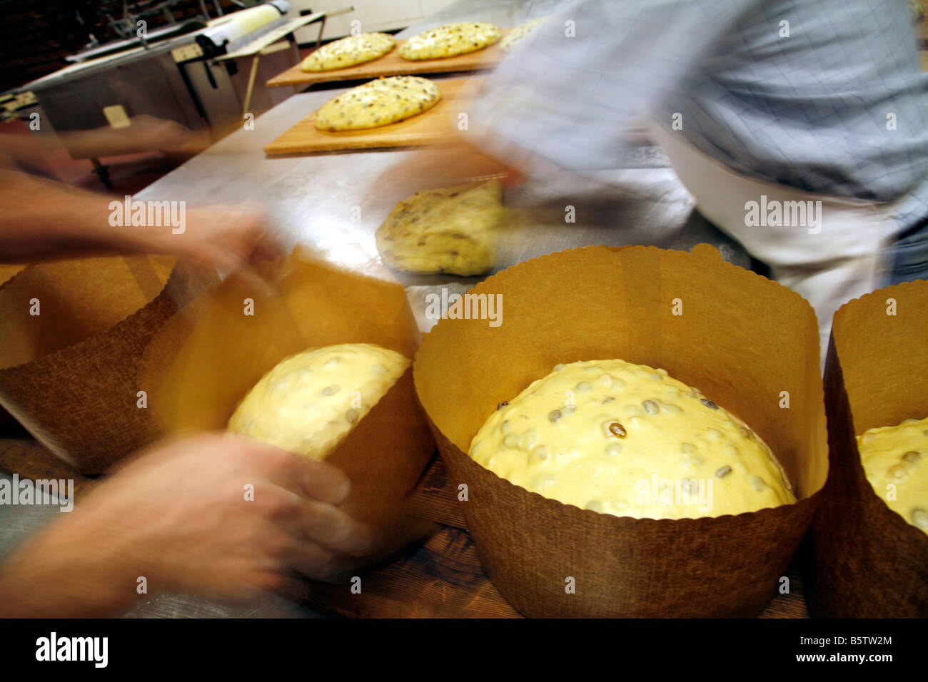 Preparation of Panettone typical Xmas dessert Panettone factory Italy ...