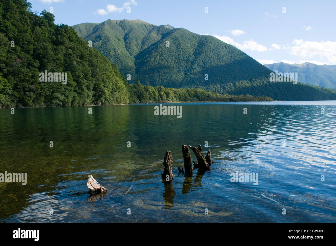 Lake Rotoroa from the Sabine Hut, Nelson Lakes National Park, South ...