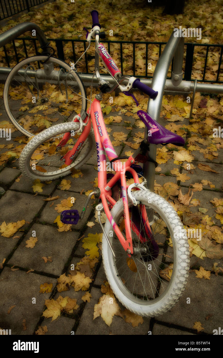 bicycle between autumn leaves Stock Photo - Alamy