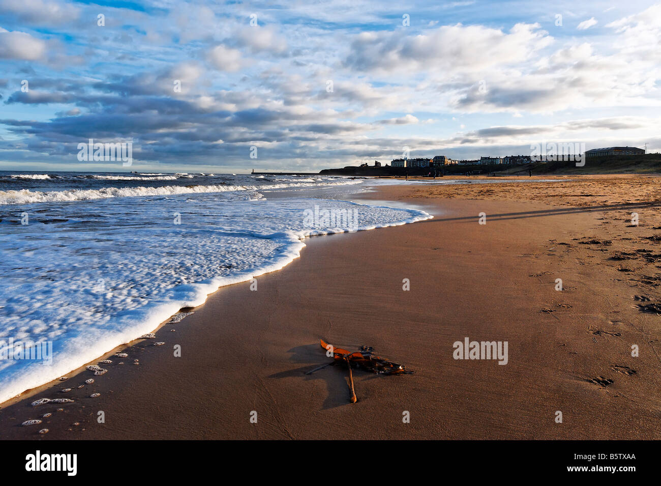 Tynemouth beach hi-res stock photography and images - Alamy