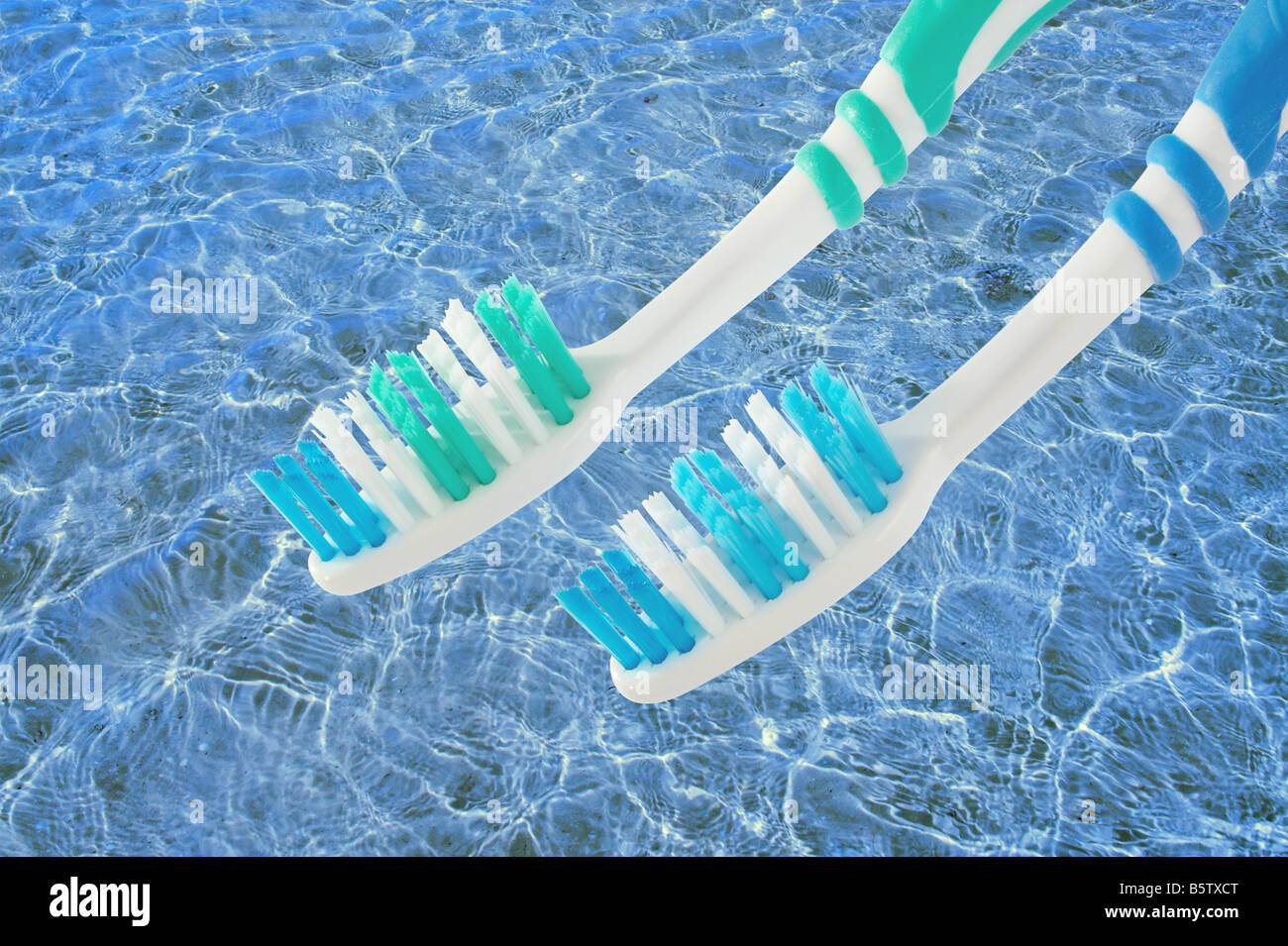 The tooth brush is the tool of personal hygiene every day Stock Photo ...