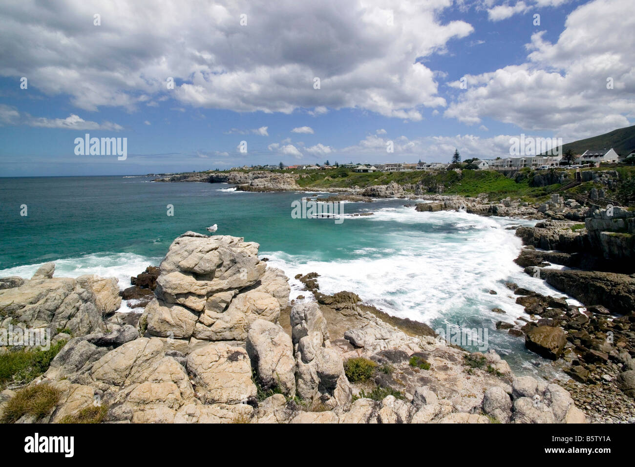 Coast near Hermanus Walker Bay South Africa Africa Stock Photo - Alamy