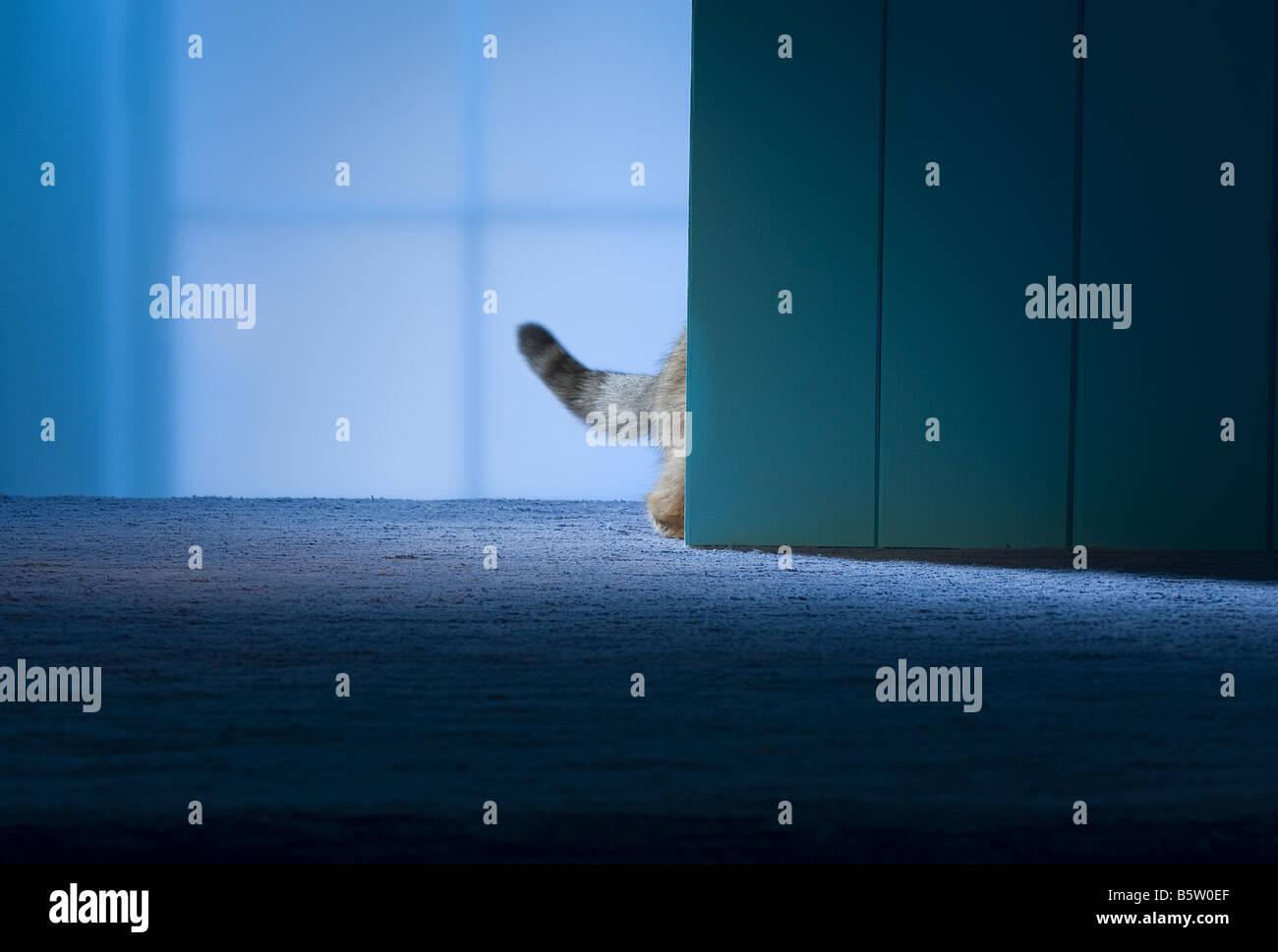 Do not stand behind door hi-res stock photography and images - Alamy