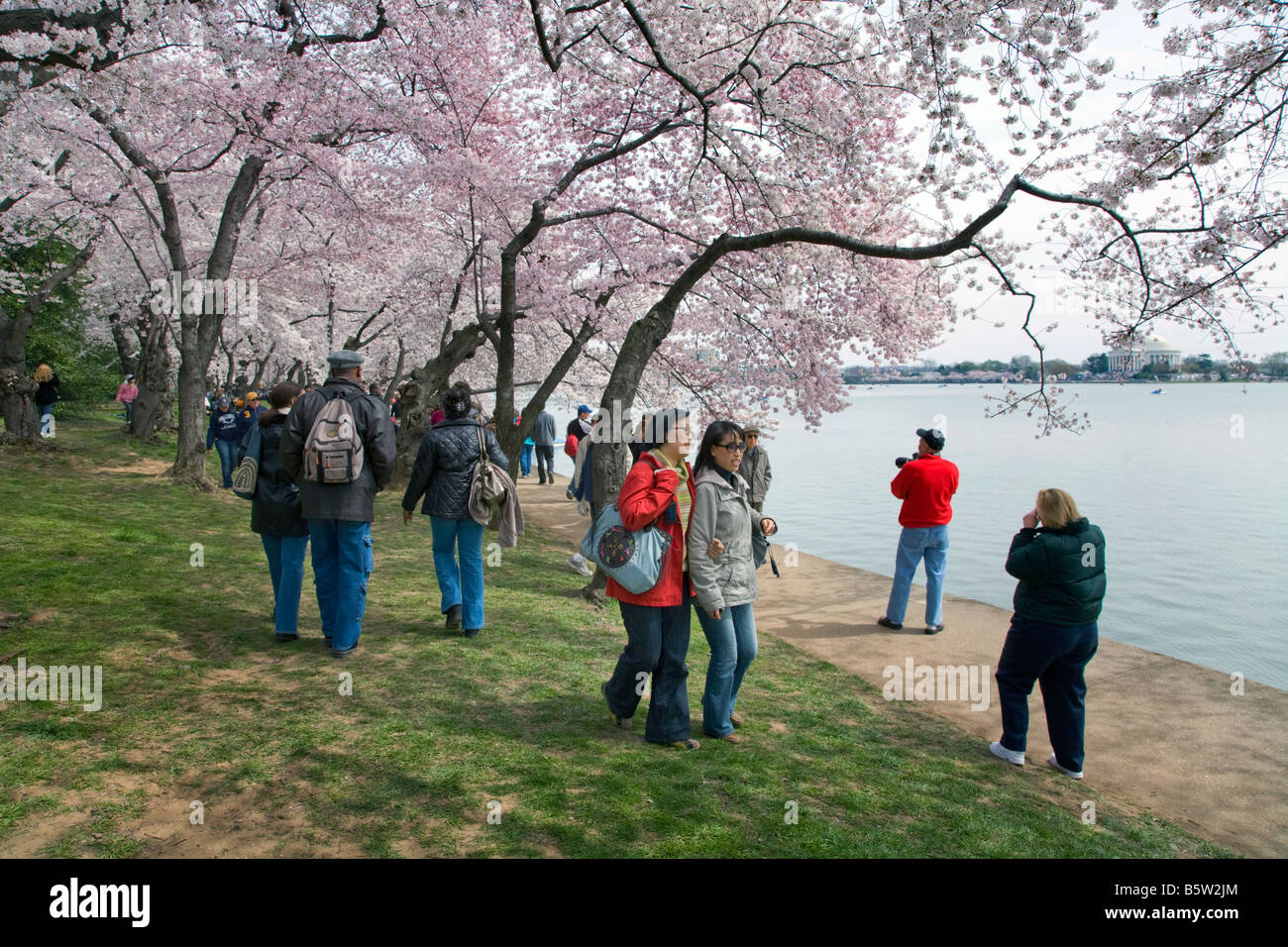 History Of The Cherry Blossom Festival Washington Dc at John Galindo blog