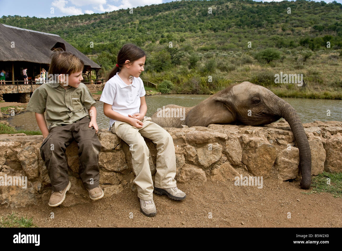 Elephants brothers hi-res stock photography and images - Alamy
