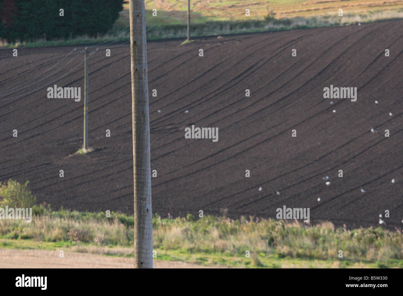 Textures created by a harrowed field, crossed by power lines Stock ...