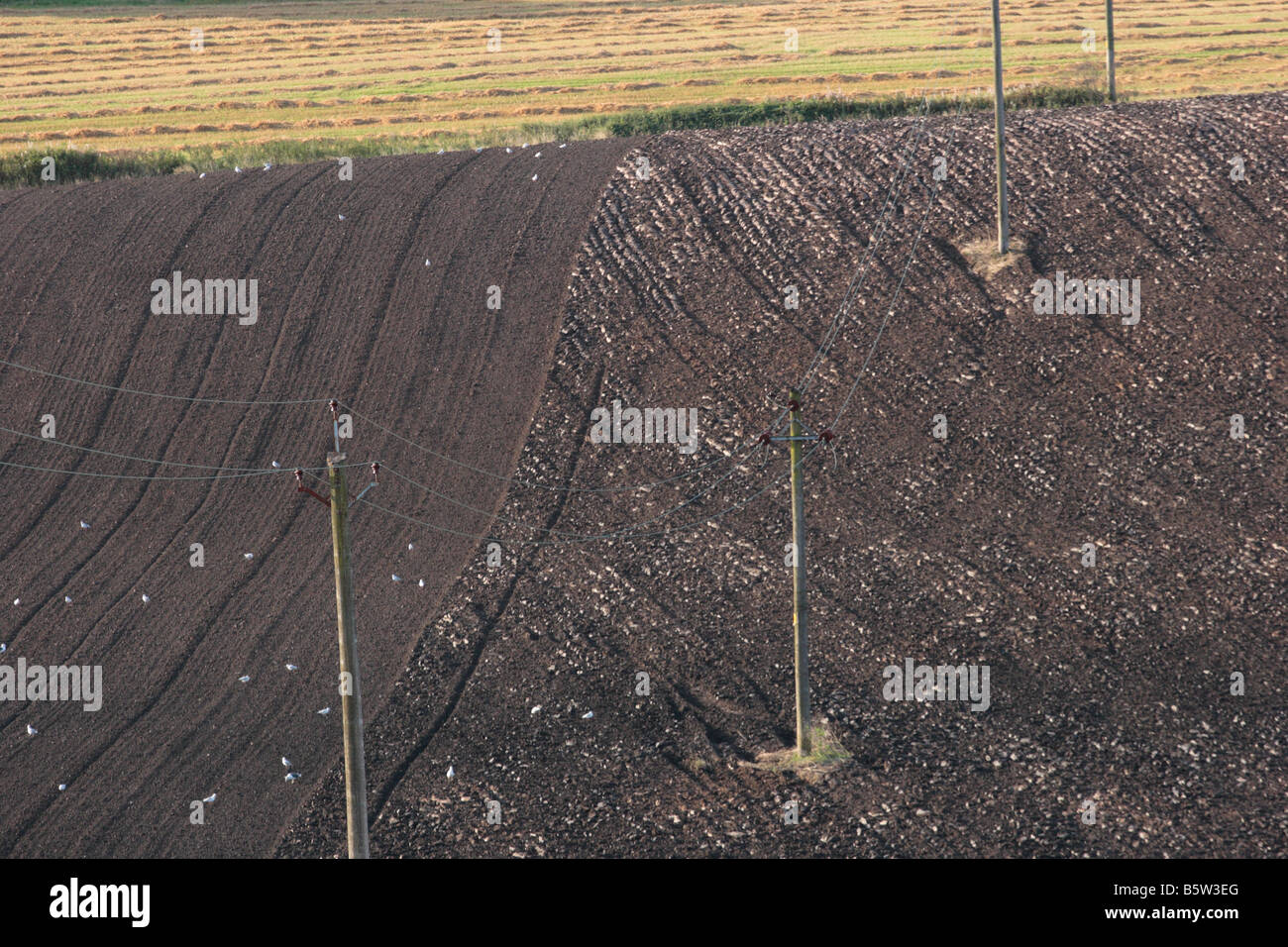 Field Patterns Stock Photos & Field Patterns Stock Images - Alamy