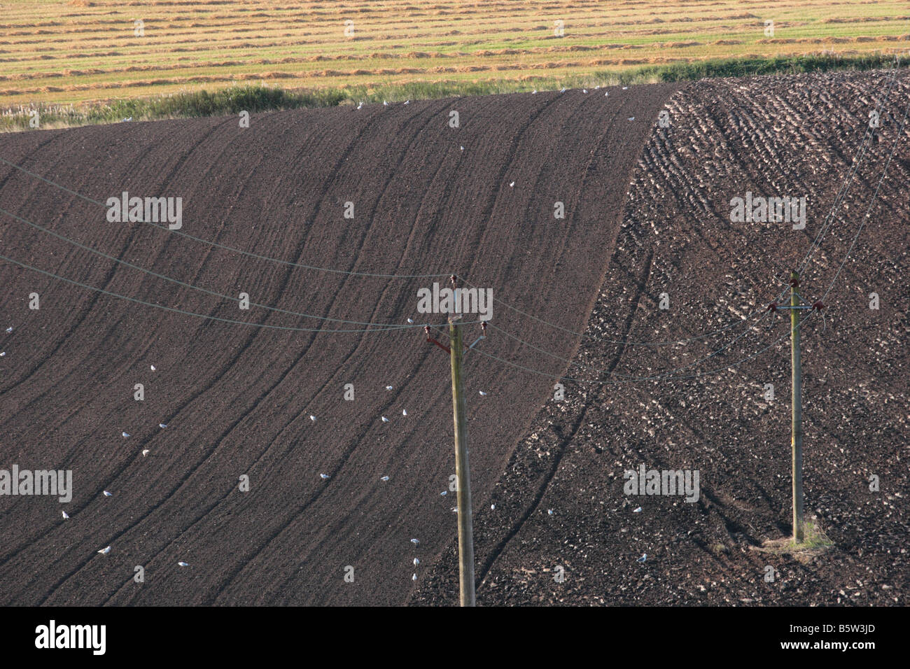 Field patterns hi-res stock photography and images - Alamy