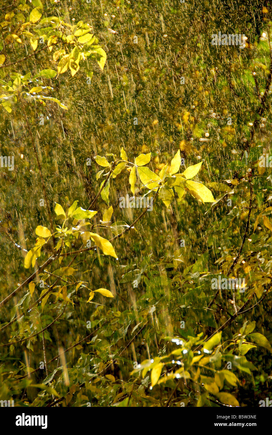 Sparkle rain falling hi-res stock photography and images - Alamy
