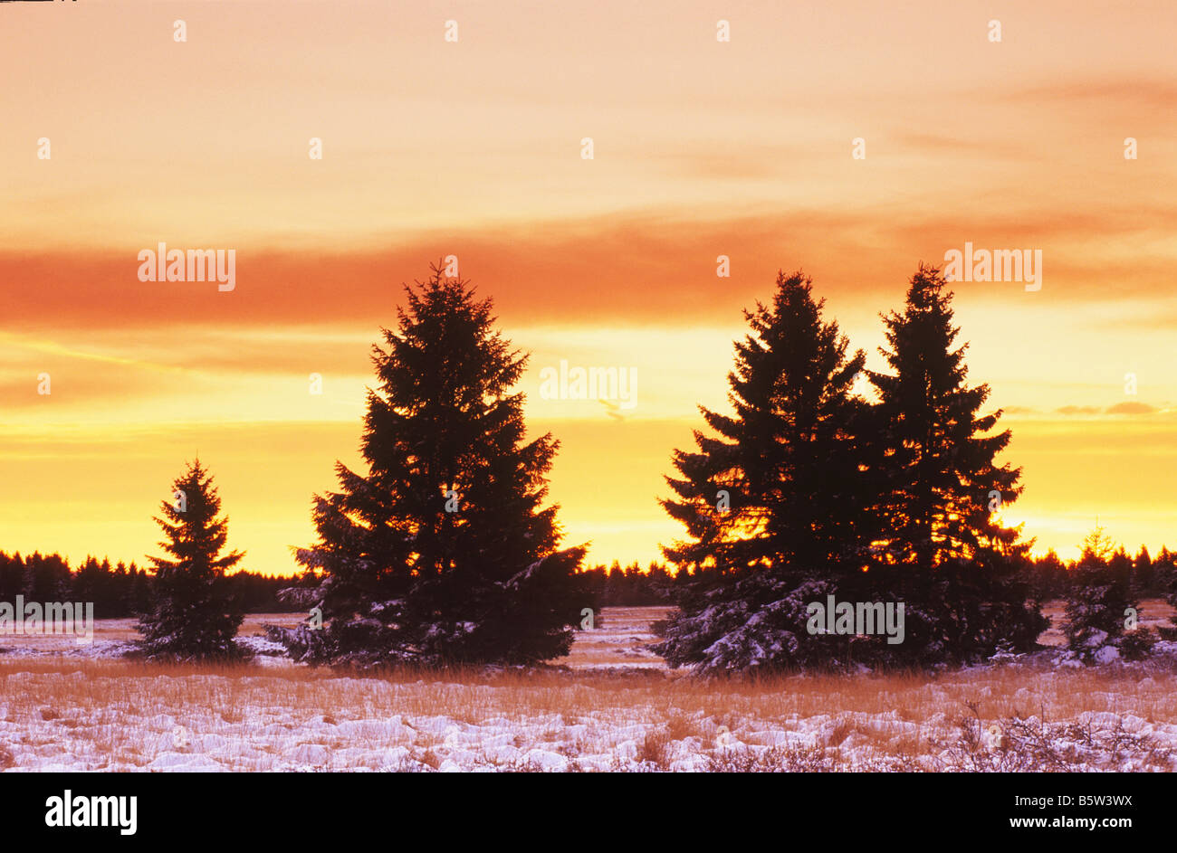 Wallonne hi-res stock photography and images - Alamy