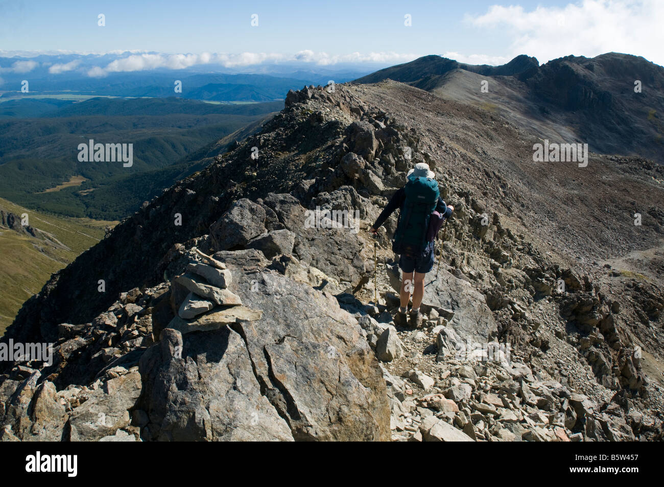 On the Robert Ridge above the Angelus Hut, Nelson Lakes National Park ...