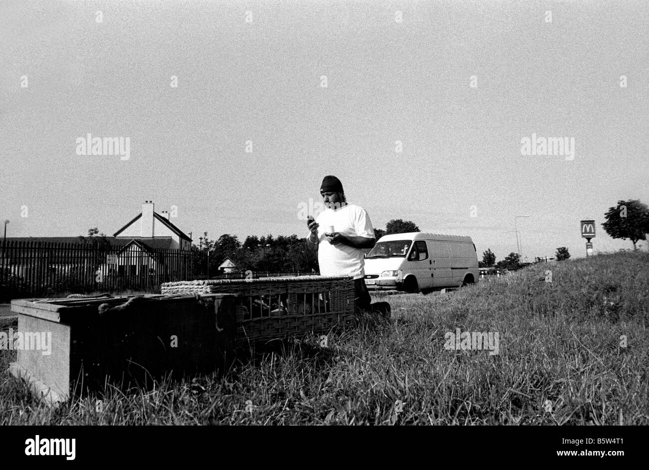 Pigeon racing in the UK. Working class sport Stock Photo - Alamy