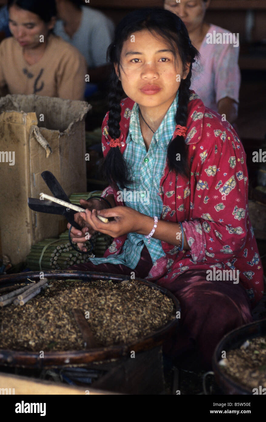 A Burmese woman makes cheerots, cigars and cigarettes in a tobacco ...