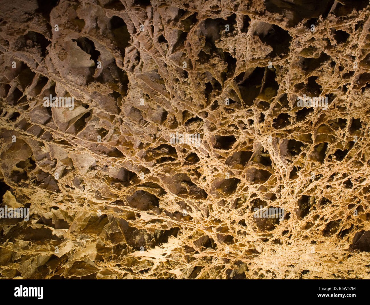 boxwork covered with popcorn, Wind Cave National Park, South Dakota ...