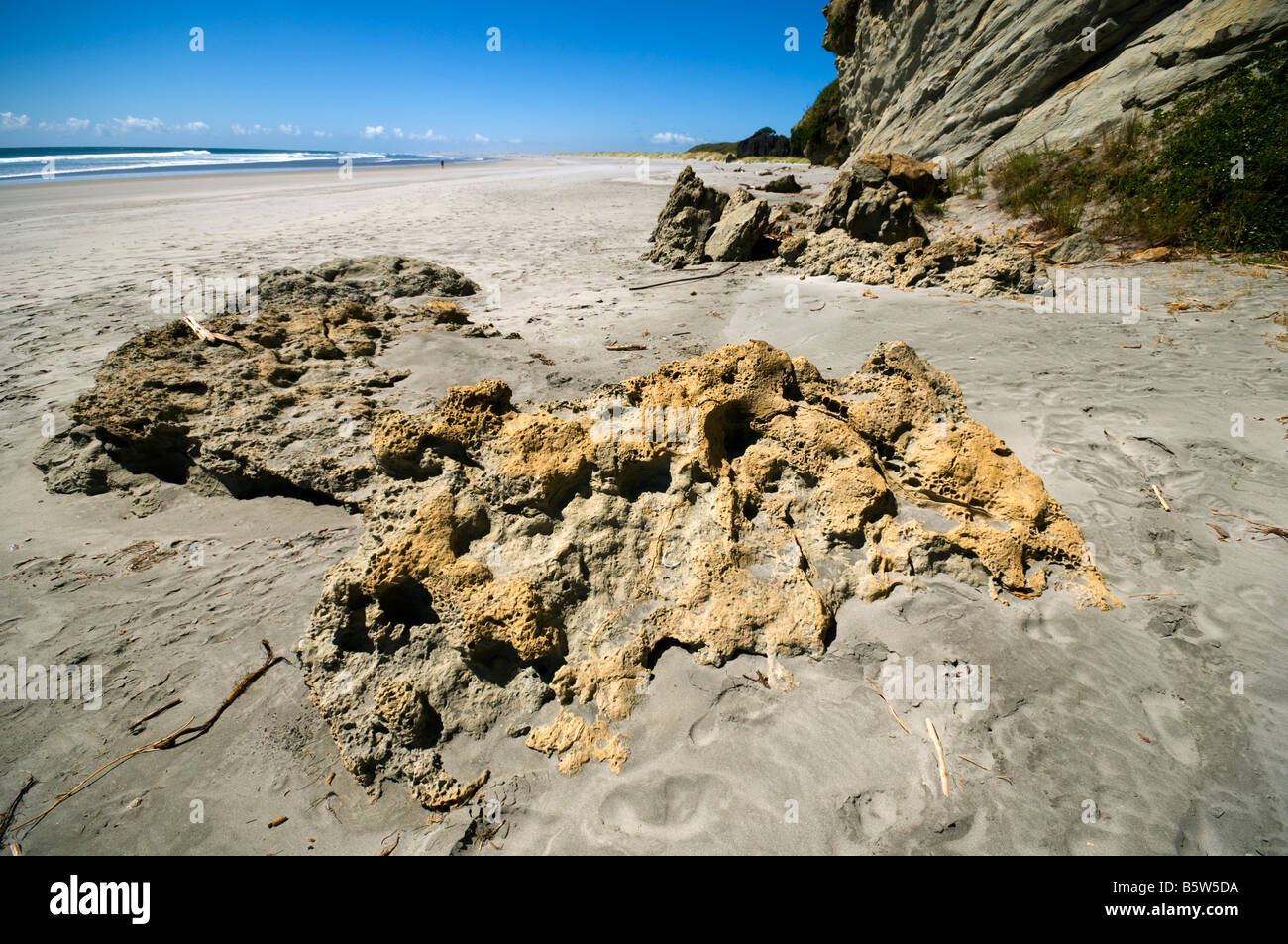 At Fossil Point, near Cape Farewell, South Island, New Zealand Stock ...